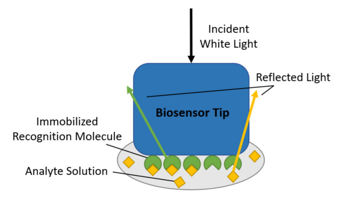 SPR/BLI/ELISA分子间亲和力测定常用方法介绍 - 卡梅德生物